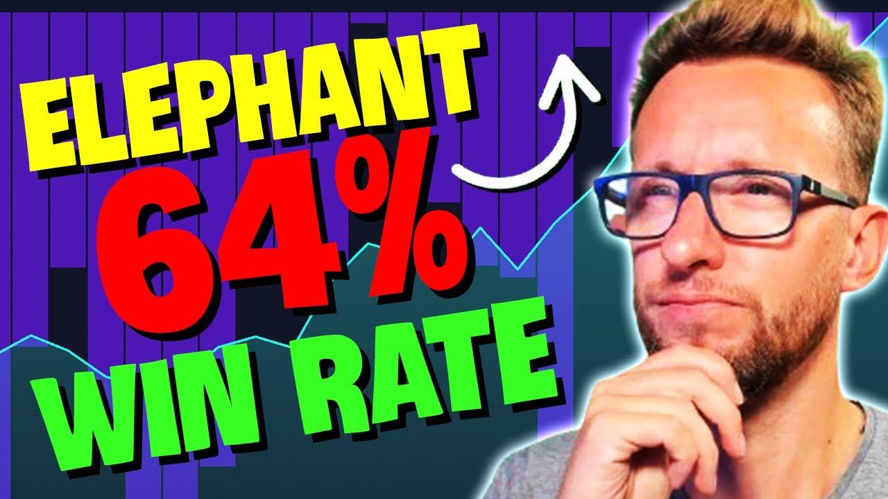 Elephant Candles - Davidd